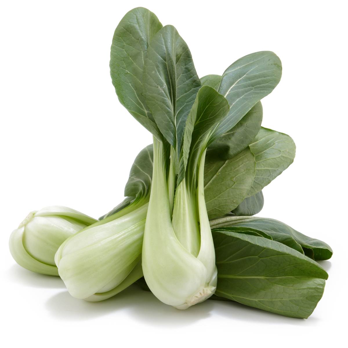 AUSTRALIAN PAK CHOY per each